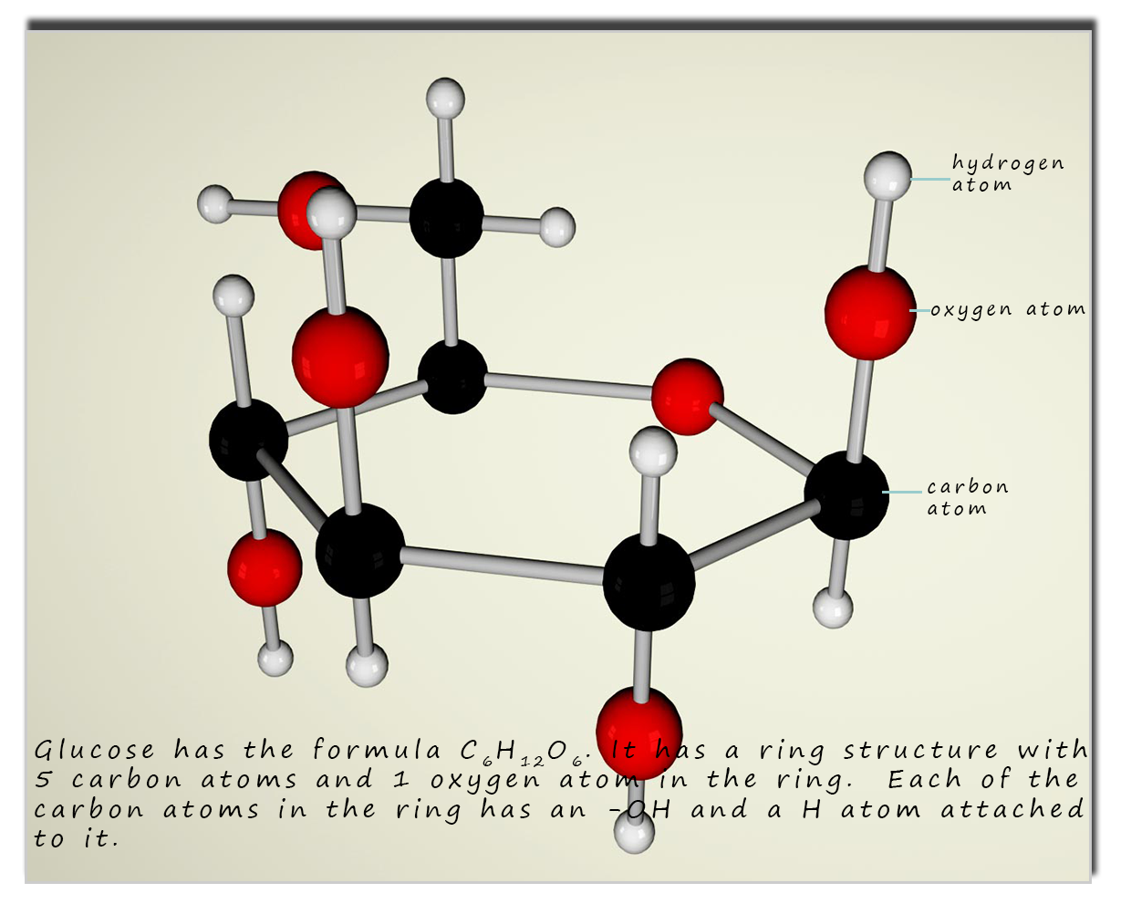 Starch and cellulose